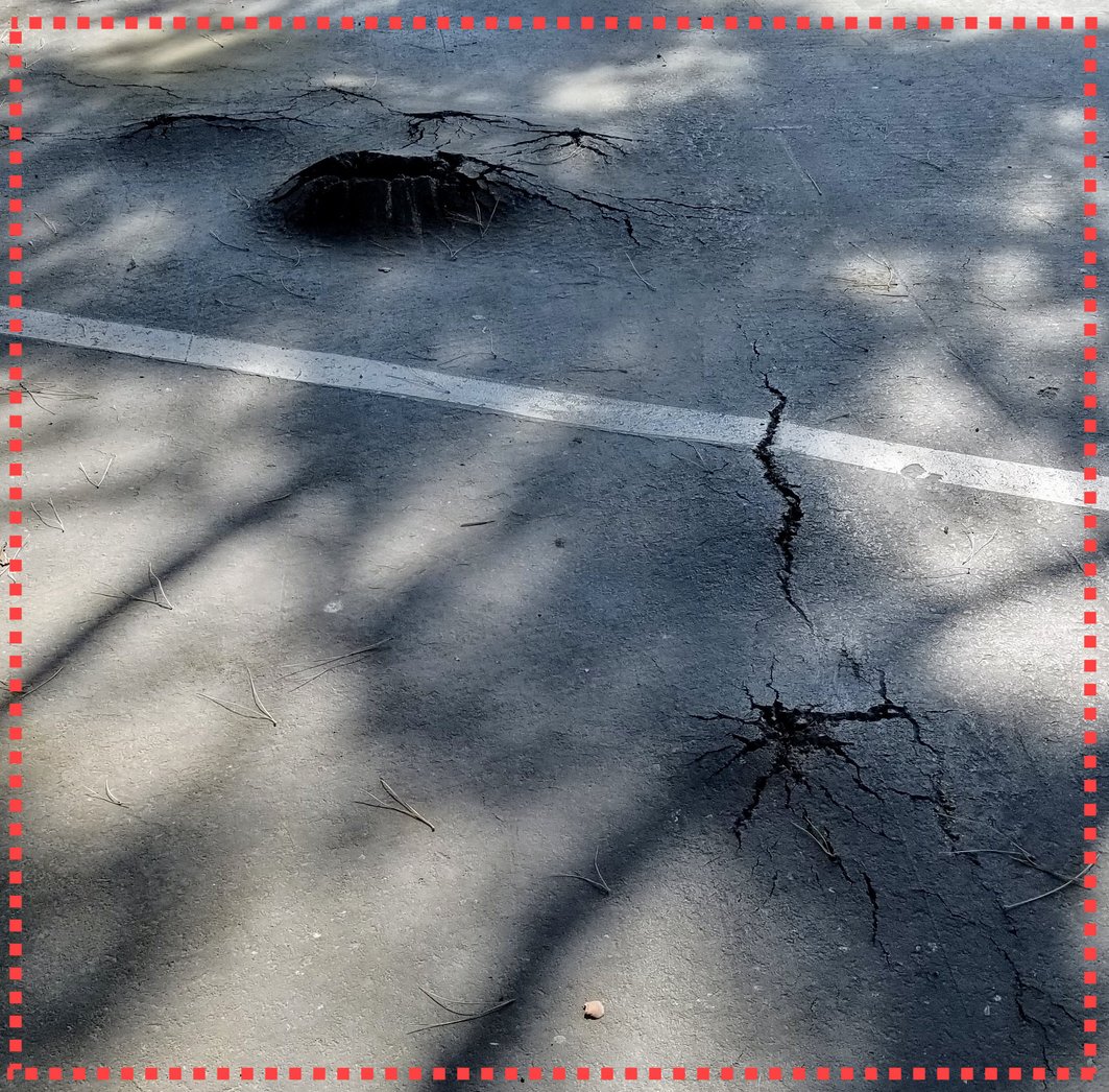 5 Things to Consider When Repairing Tree Root Damage